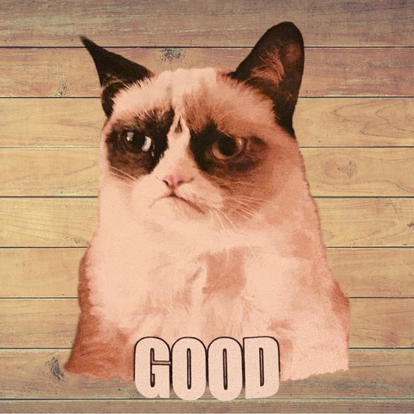 Hot Topic | Shirts | Botdf Blood On The Dance Floor Grumpy Cat Shirt ...